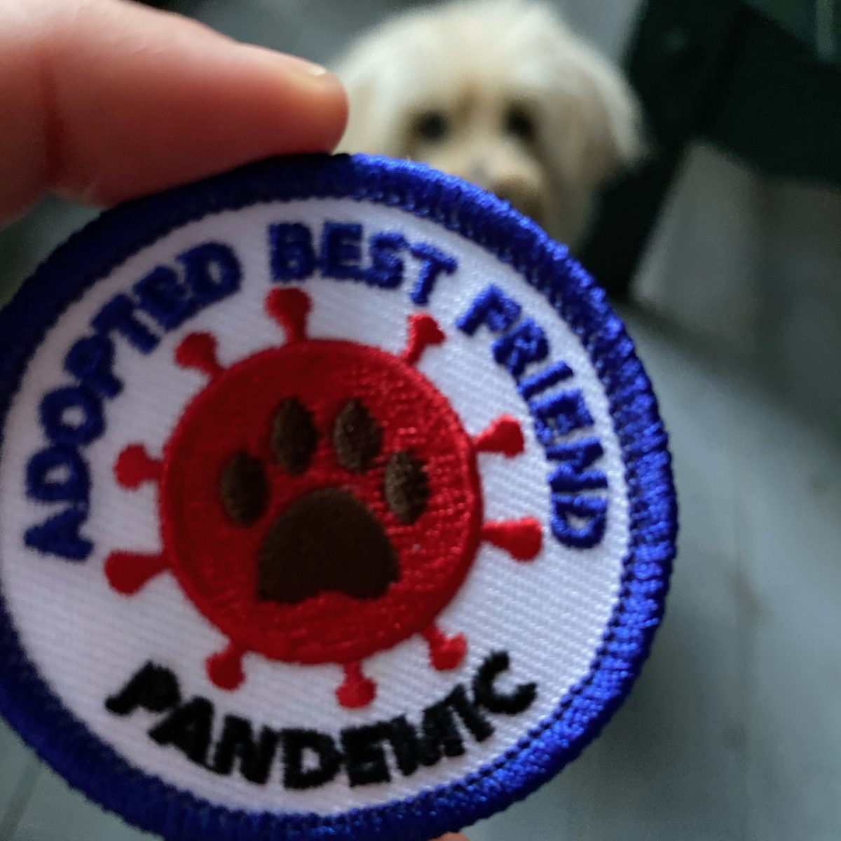 Adopted Best Friend - PANDEMIC PATCHES